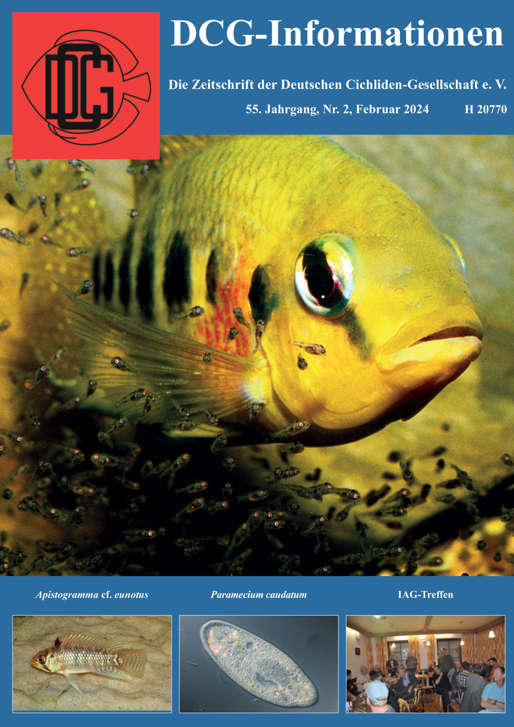 DCG-Informationen 02/2024Deutsche Cichliden-Gesellschaft e. V.