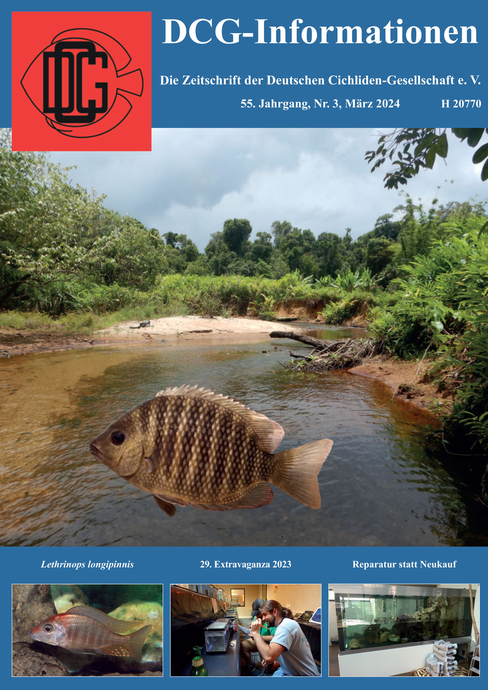 DCG-Informationen 03/2024Deutsche Cichliden-Gesellschaft e. V.