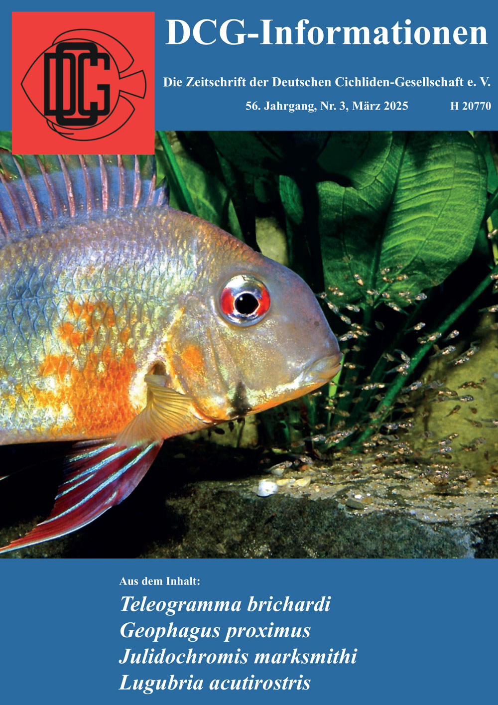 DCG-Informationenen 03/2025Deutsche Cichliden-Gesellschaft e. V.