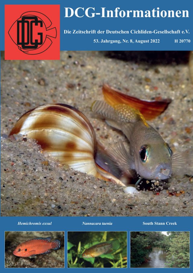 DCG-Informationen 08/2022Deutsche Cichliden-Gesellschaft e.V.